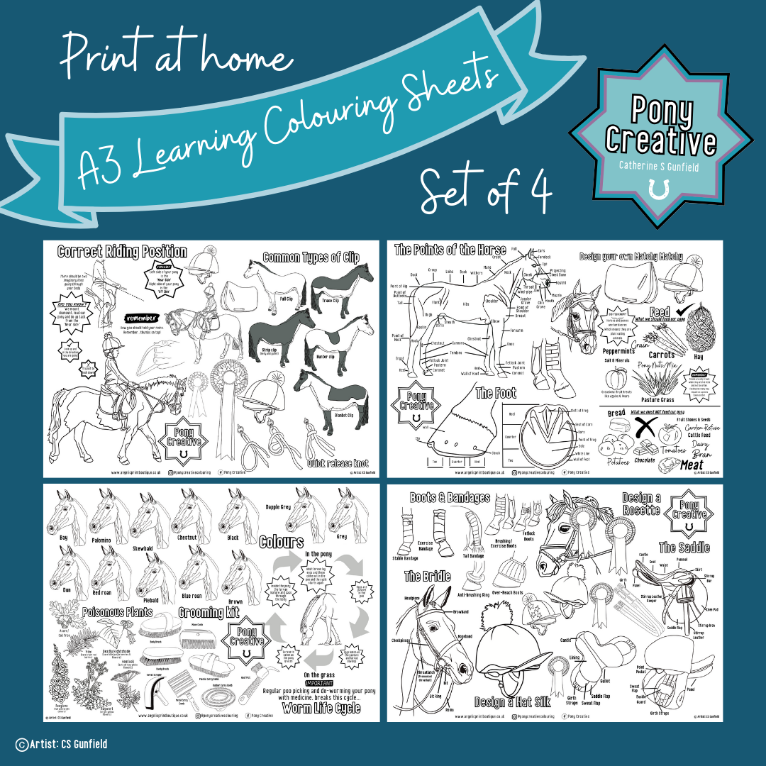 Pony Creative - Printable Learning Colouring Posters set of 4 – Angelic ...