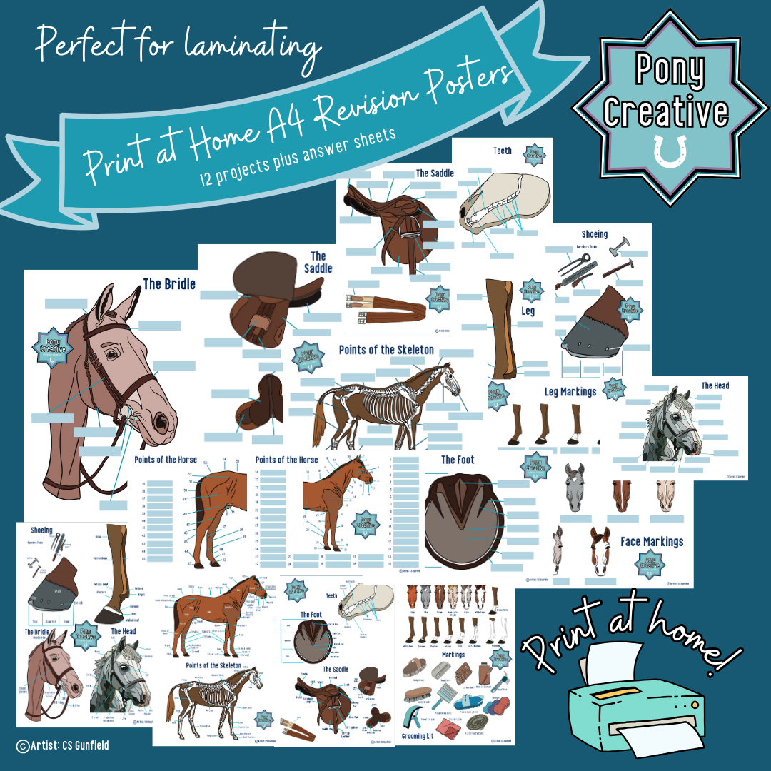 Pony Creative - Printable Learning Revision Sheets