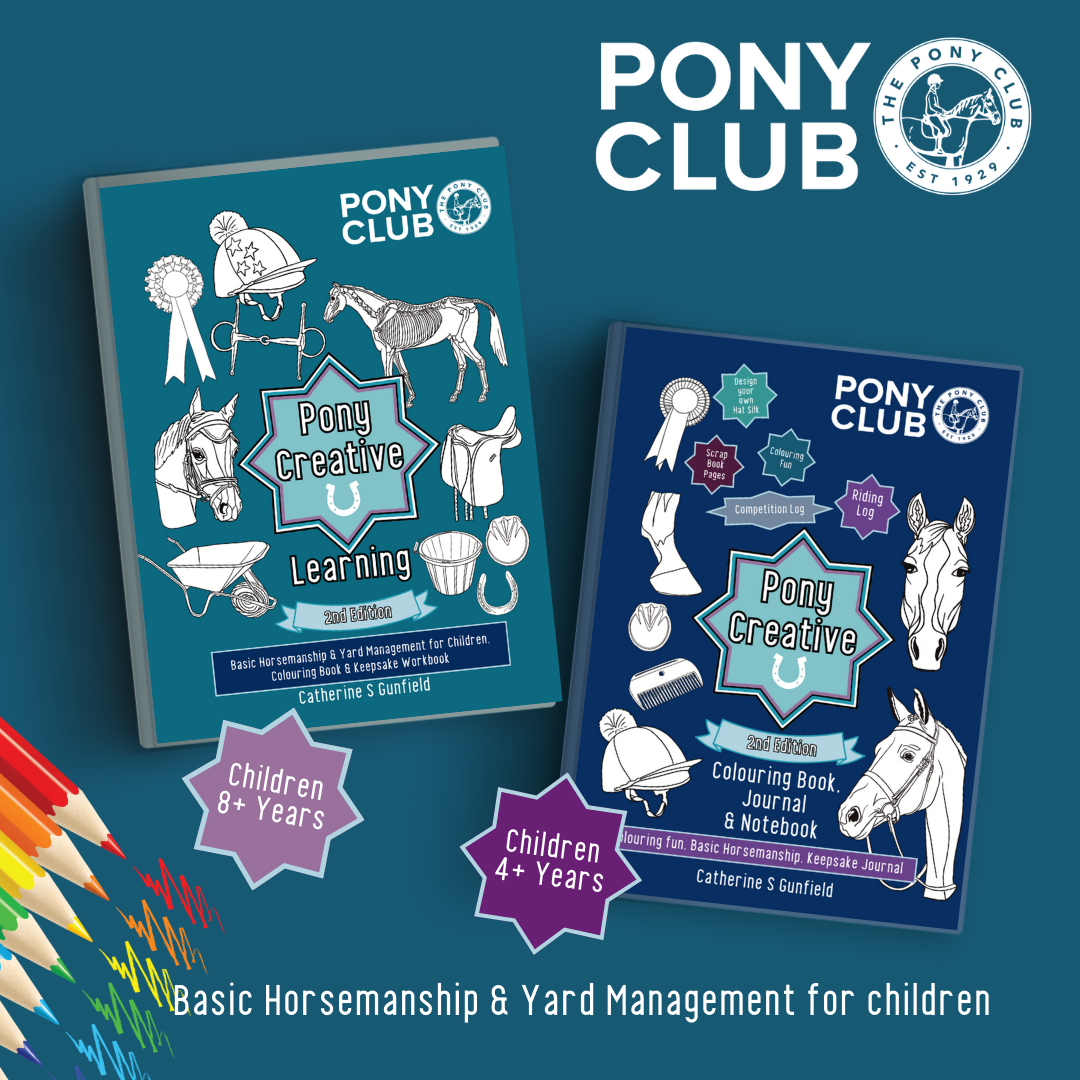 Pony Creative Wholesale Orders