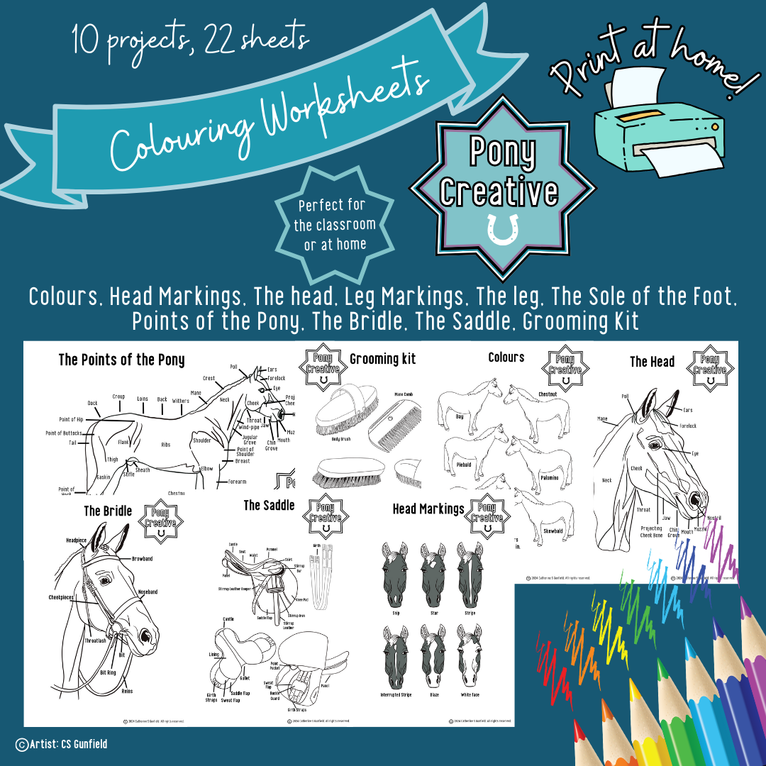 Pony Creative - Printable Learning Colouring Worksheets