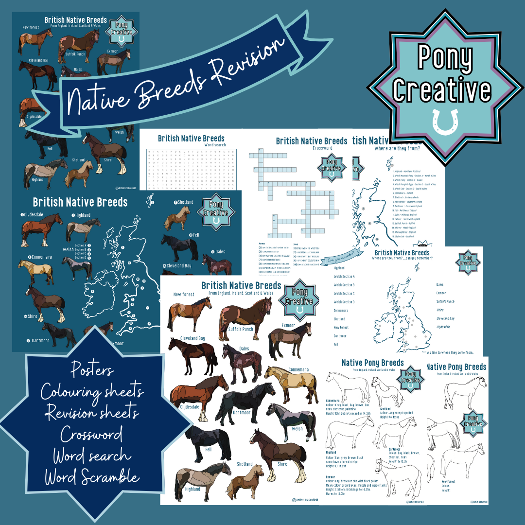 Pony Creative - Printable Native Breed Revision Pack – Angelic Print ...